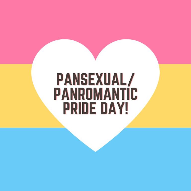 Pansexual and Panromantic Pride Day December 8: Some definitions ...